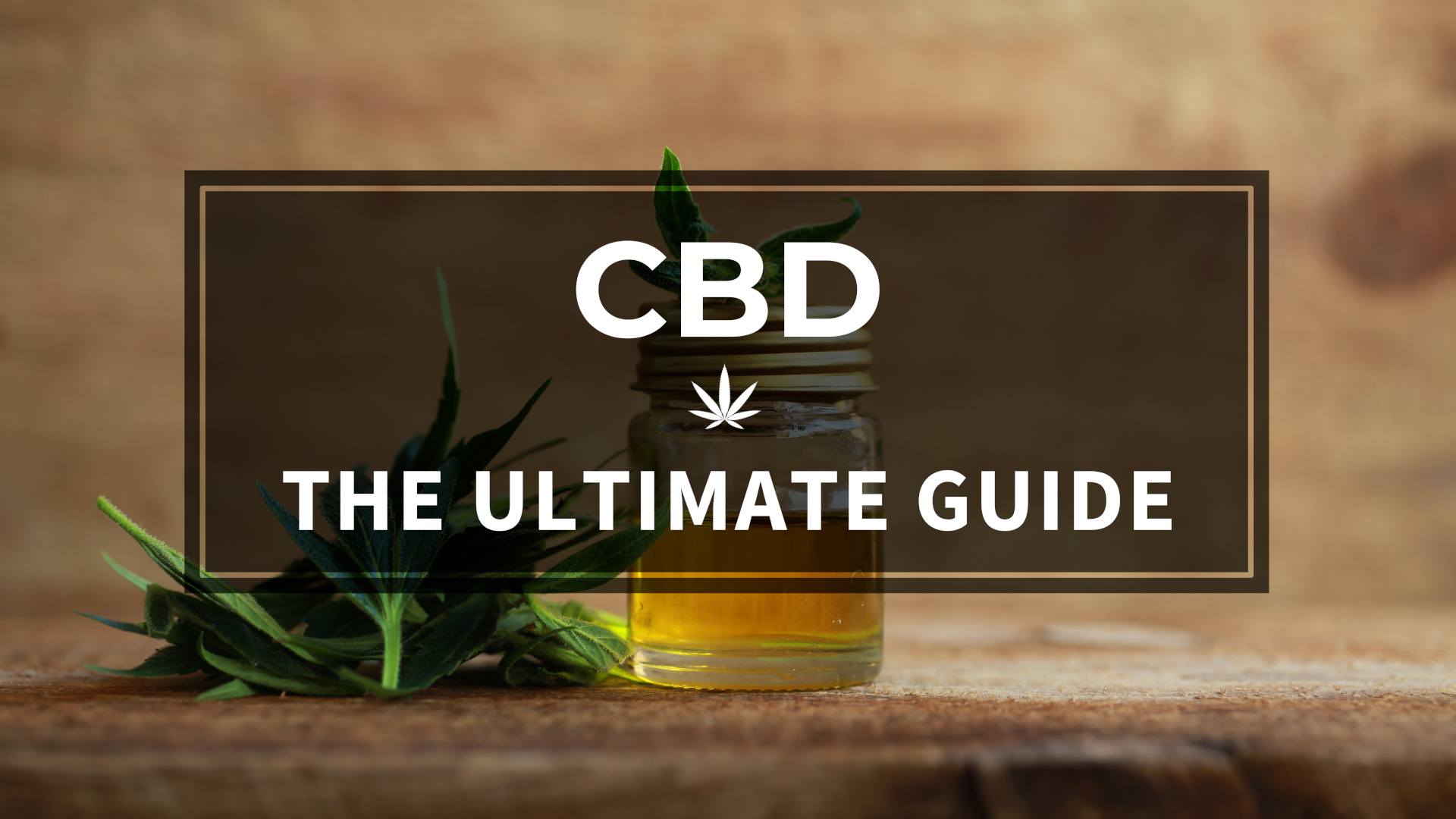 Cannabidiol (CBD) – The Ultimate Guide - The Weed Corner